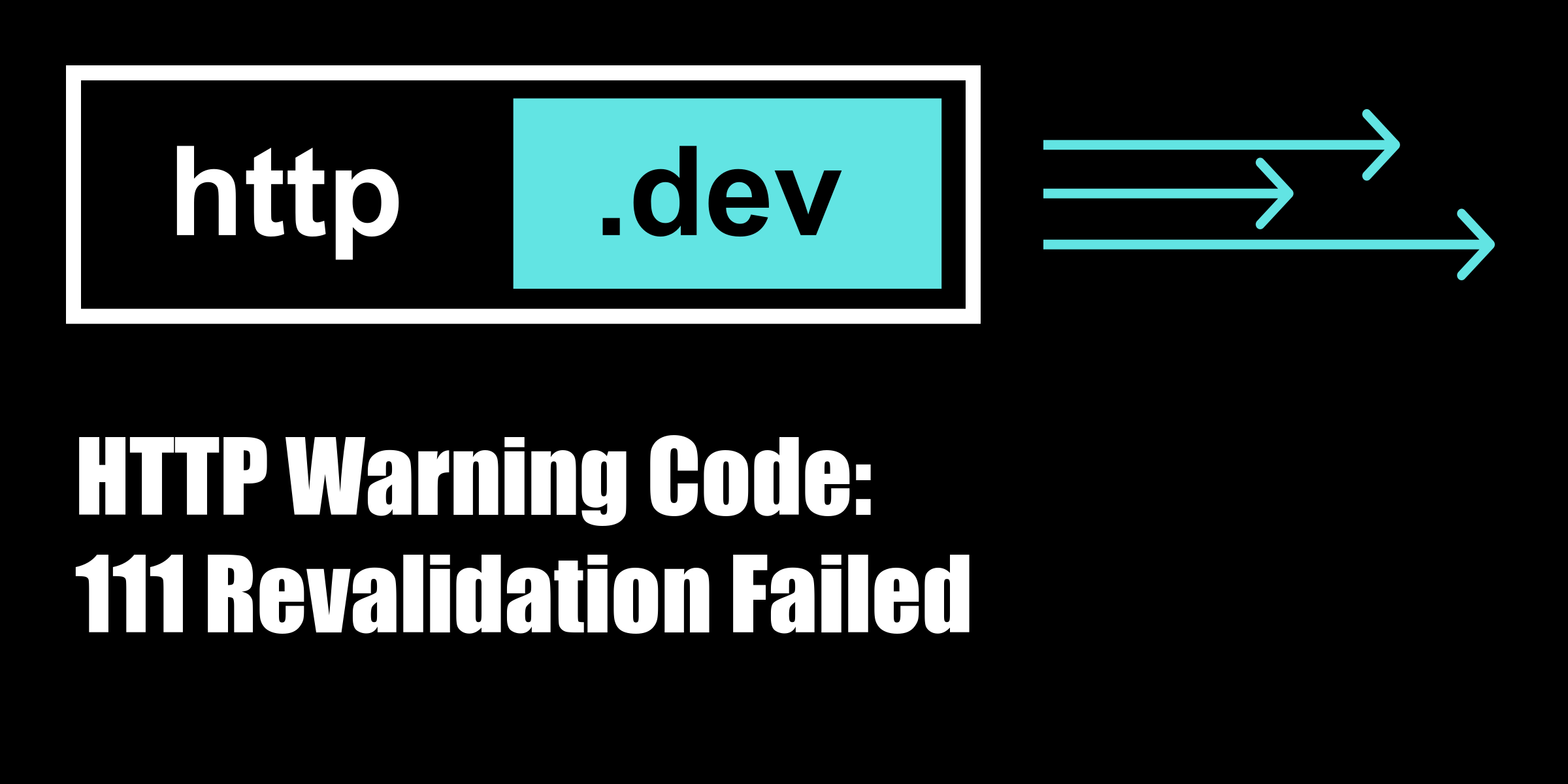 111-revalidation-failed-http-status-code-explained